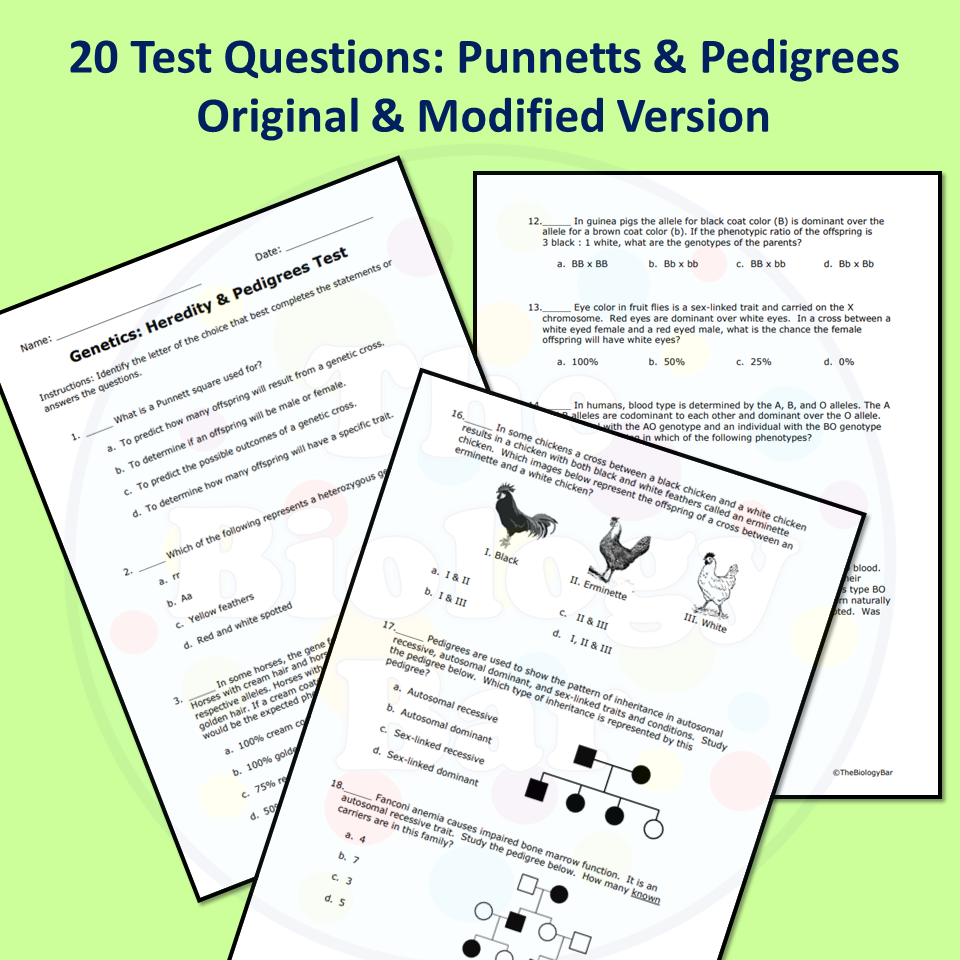 Genetics Punnett Squares and Pedigrees Biology Review and Test | Made ...