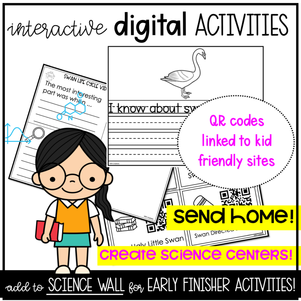 Send HOME Science Swan Life Cycle l All about Swans l Swan Unit | Made ...