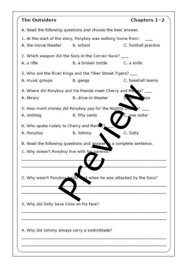 S. E. Hinton "The Outsiders" worksheets | Made By Teachers