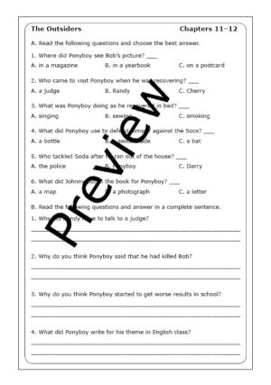 S. E. Hinton "The Outsiders" worksheets | Made By Teachers