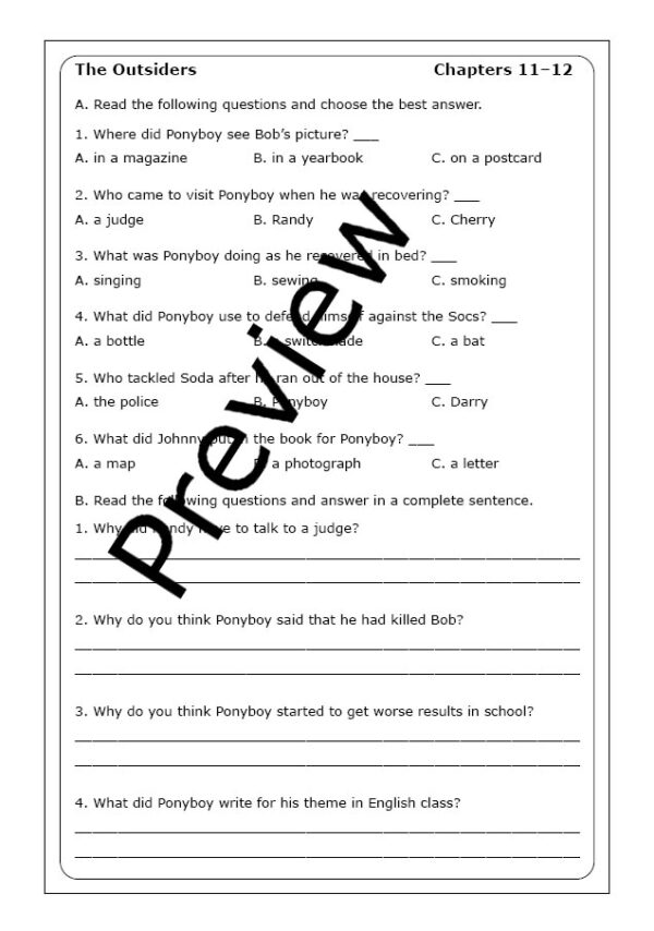 S. E. Hinton "The Outsiders" worksheets | Made By Teachers