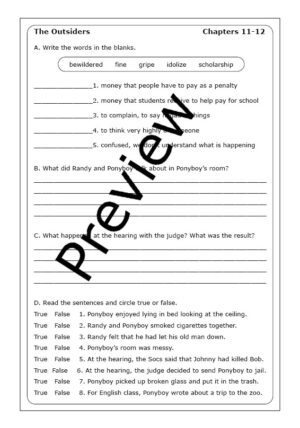 S. E. Hinton "The Outsiders" worksheets | Made By Teachers