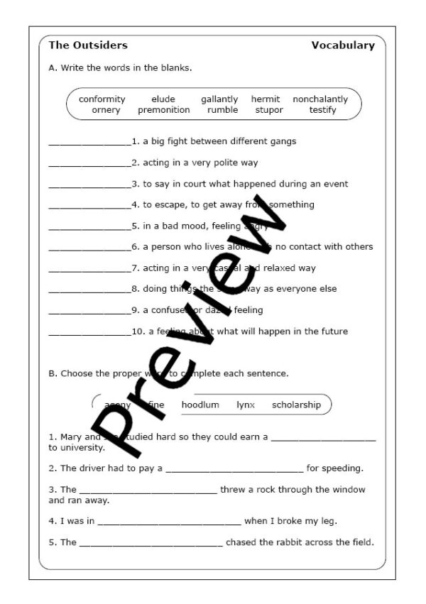 S. E. Hinton "The Outsiders" worksheets | Made By Teachers