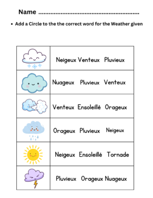 French Weather Flashcards & Worksheets. Vocab & activity games for kids ...