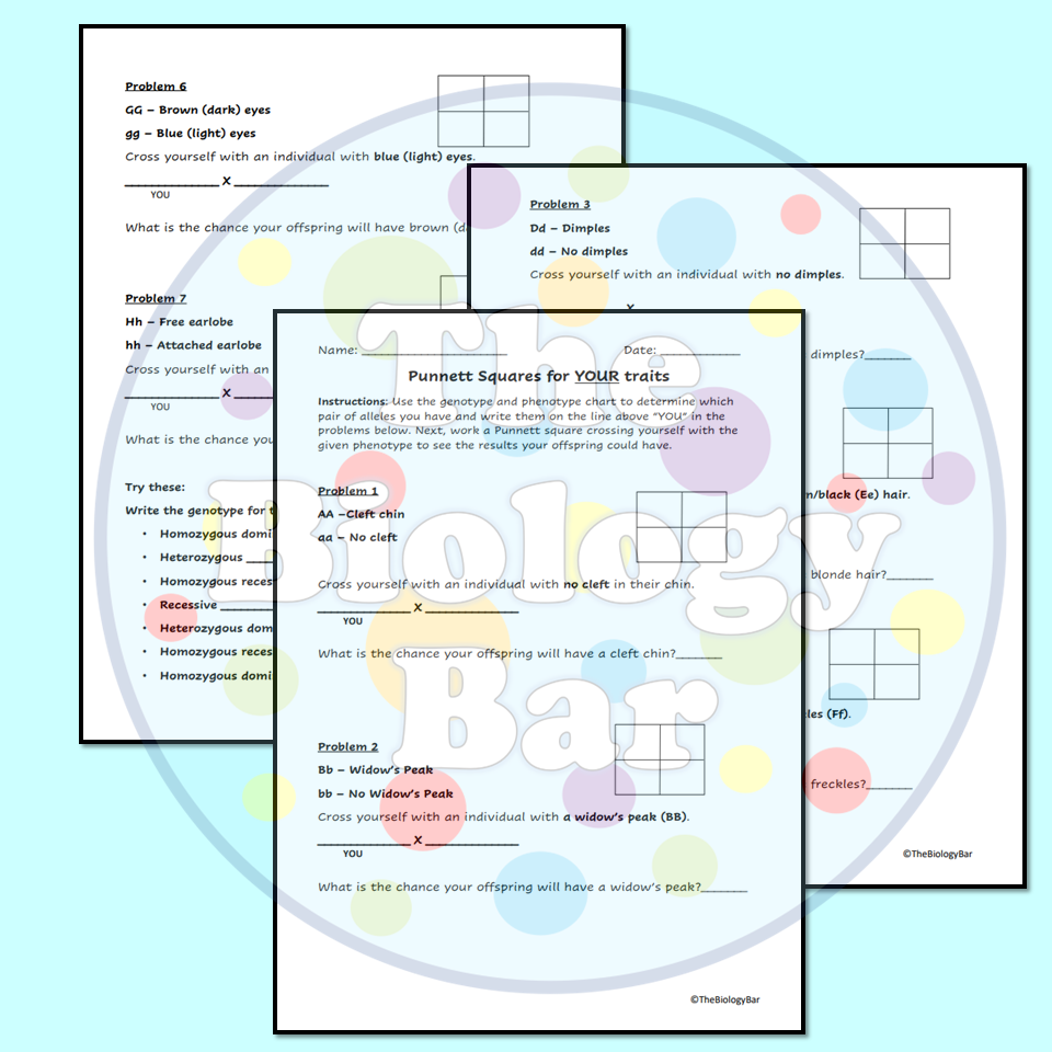 Punnett Squares Using Student's Own Traits Printable and Digital | Made ...