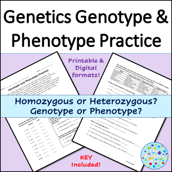 Genotypes and Phenotypes Genetics Worksheet | Made By Teachers