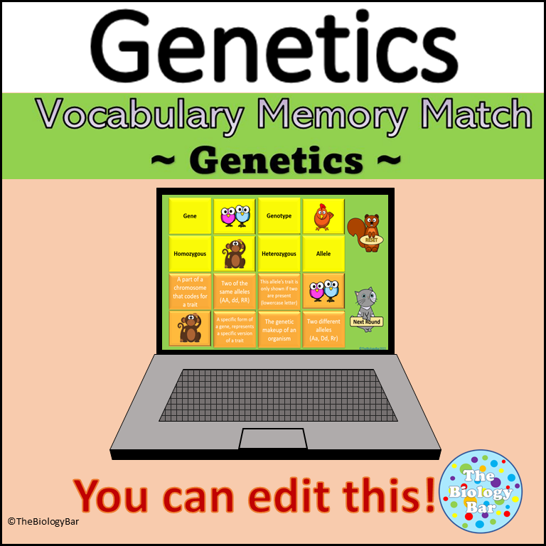 Genetics Memory Matching Card Game Interactive PPT | Made By Teachers