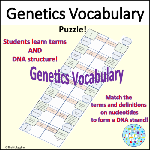 Genetics Vocabulary Puzzle | Made By Teachers