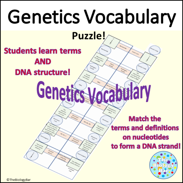 Genetics Vocabulary Puzzle | Made By Teachers