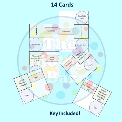 Genetics Vocabulary Puzzle | Made By Teachers