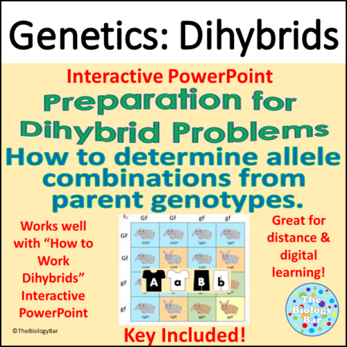 Dihybrid Punnett Squares Introduction Interactive PPT | Made By Teachers