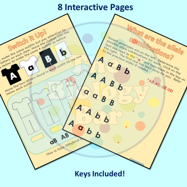Dihybrid Punnett Squares Introduction Interactive PPT | Made By Teachers