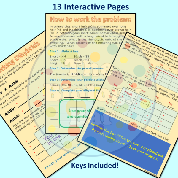 Dihybrid Punnett Squares Instructions Interactive PPT | Made By Teachers