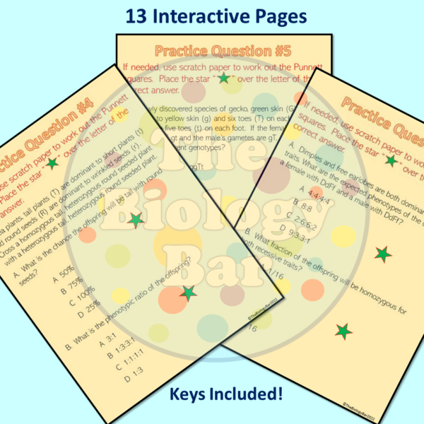 Dihybrid Punnett Squares Instructions Interactive PPT | Made By Teachers