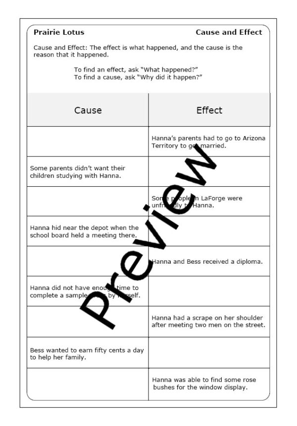 Linda Sue Park "Prairie Lotus" worksheets | Made By Teachers