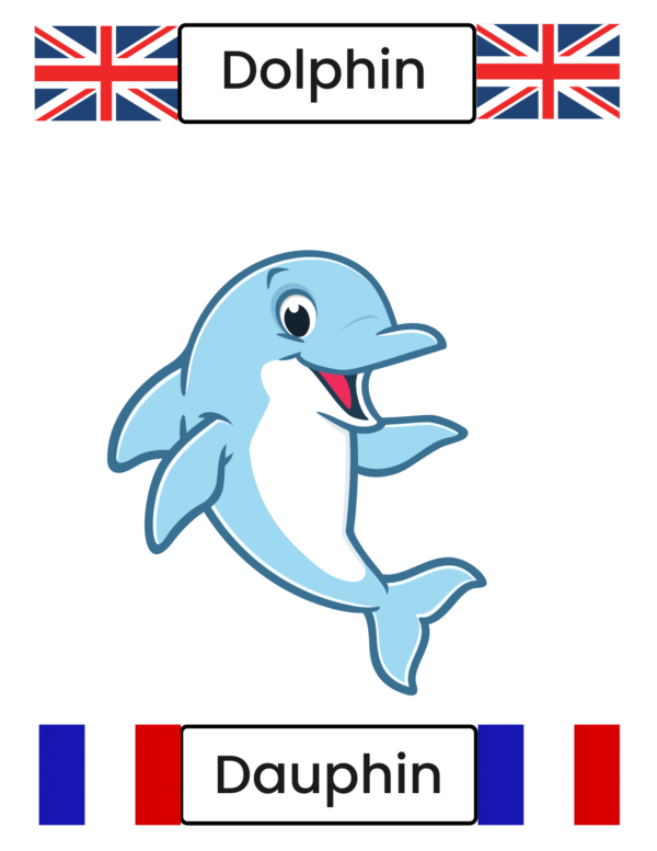 Bilingual English-French Ocean Animals Flashcards & Worksheets ...