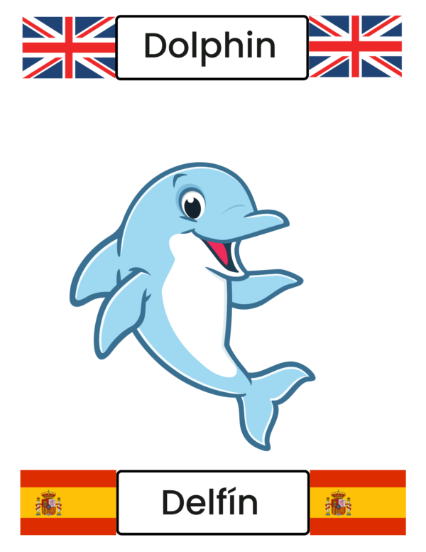 Bilingual English-Spanish Ocean Animals Flashcards & Worksheets ...