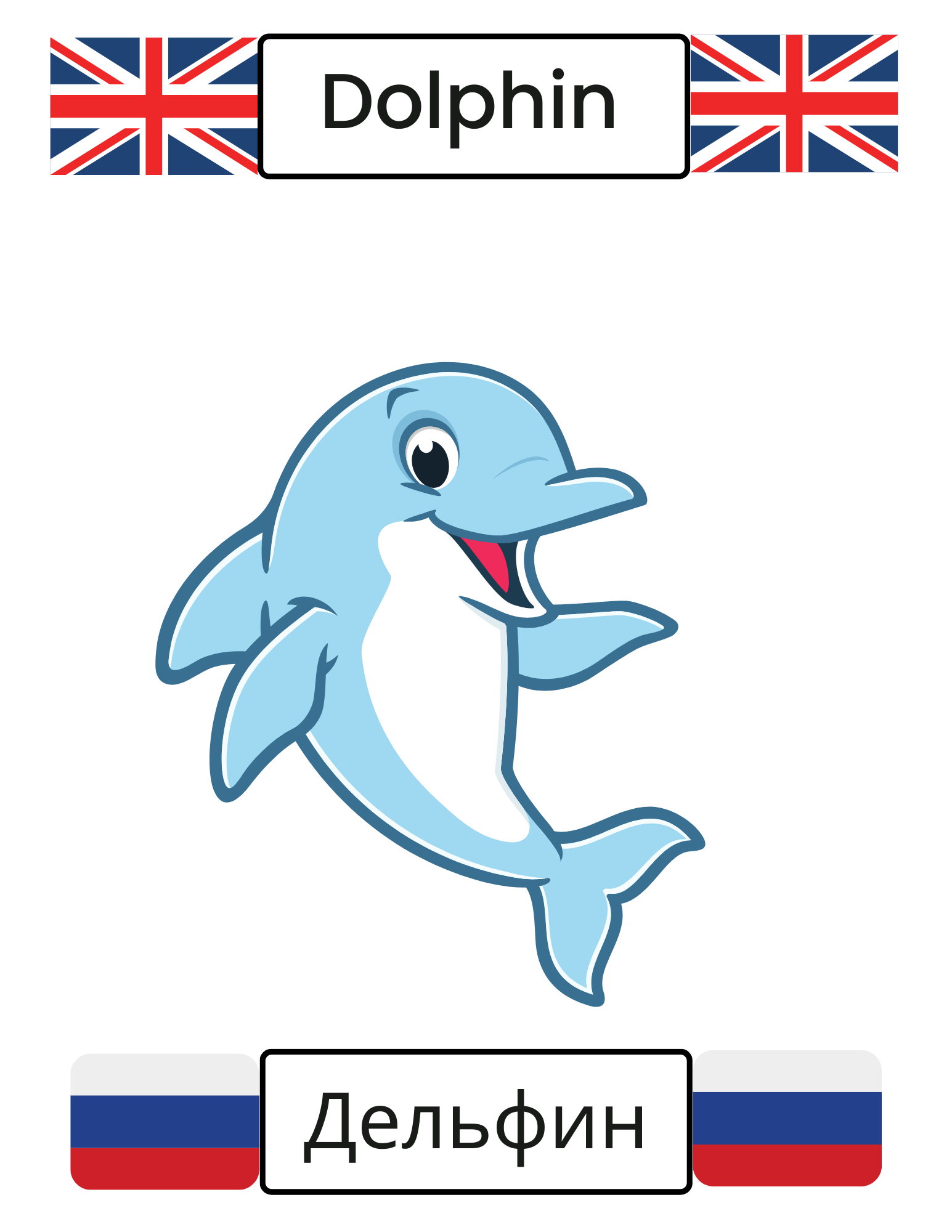 Bilingual English-Russian Ocean Animals Flashcards & Worksheets ...