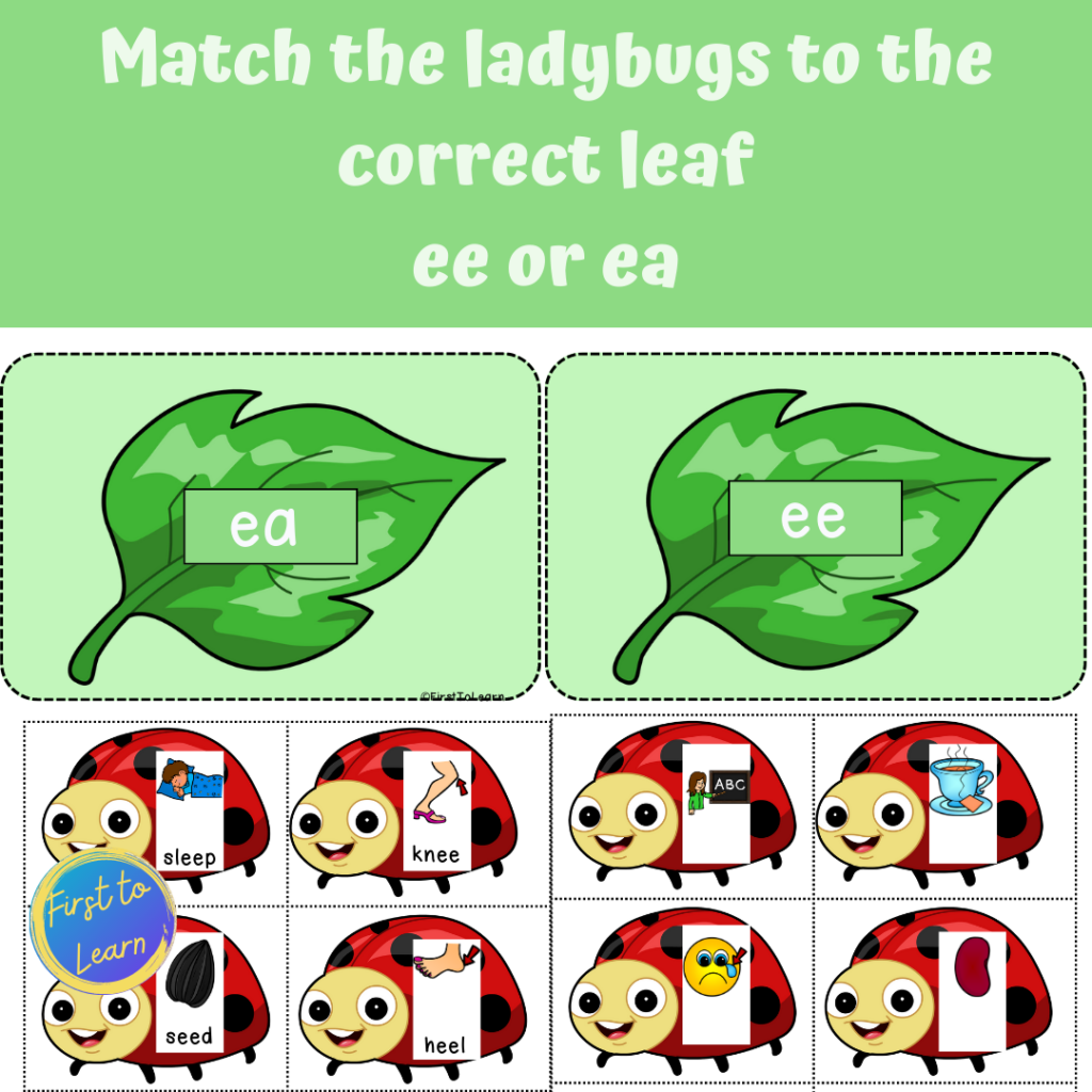 Lona E (ee and ea) Sort Phonics Center First Grade | Made By Teachers