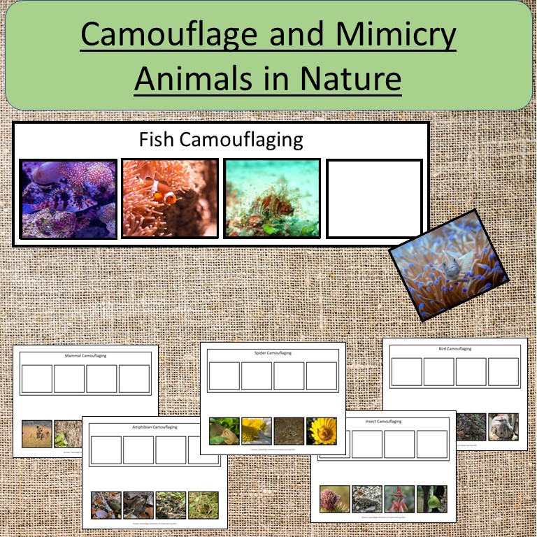 Animals: Camouflage and Mimicry Nature Study Science | Made By Teachers