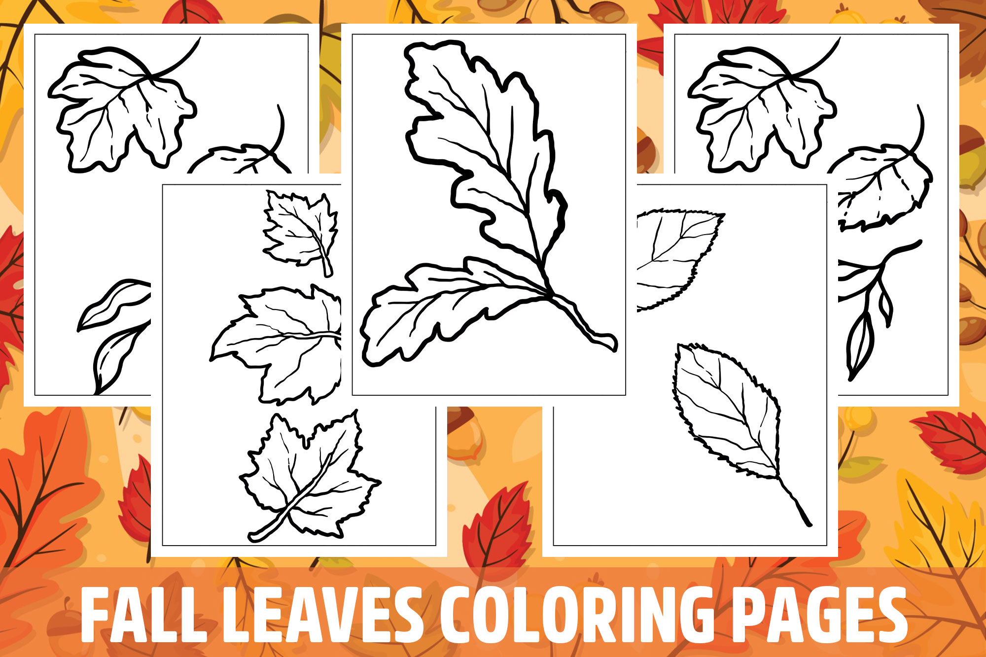 Fall Leaves Coloring Pages for Kids, Girls, Boys, Teens Birthday School ...