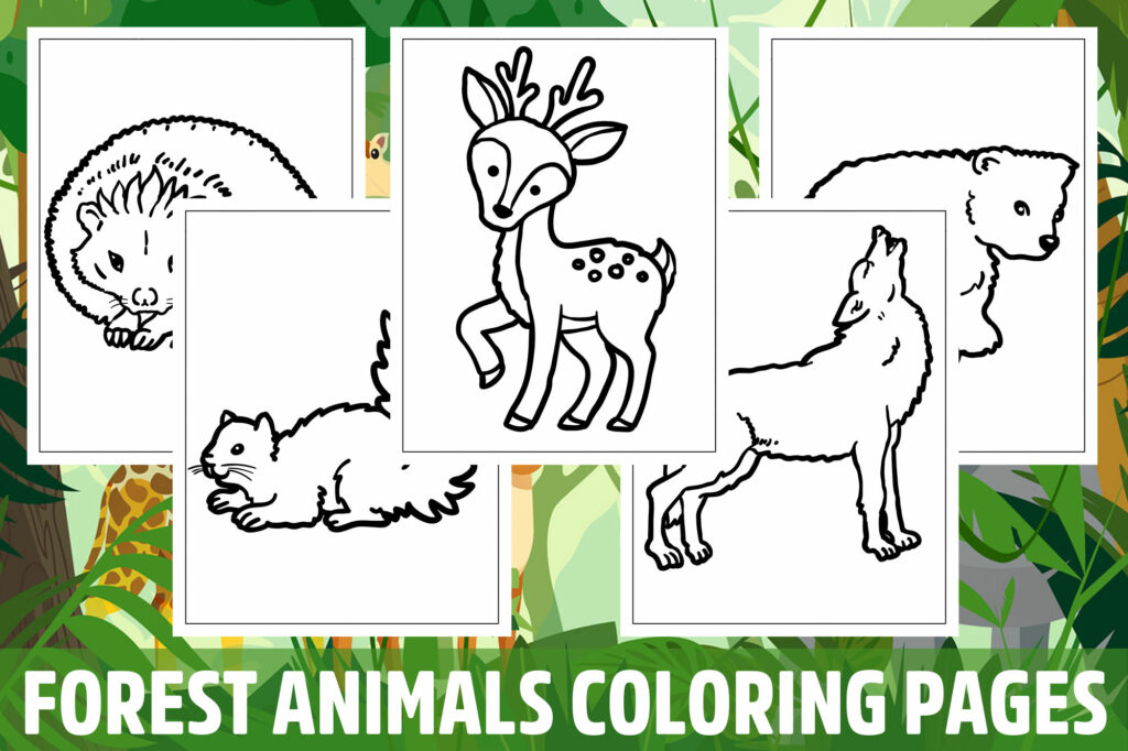 Forest Animals Coloring Pages for Kids, Girls, Boys, Teens Birthday ...