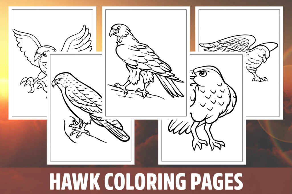 Hawk Coloring Pages for Kids, Girls, Boys, Teens Birthday School ...
