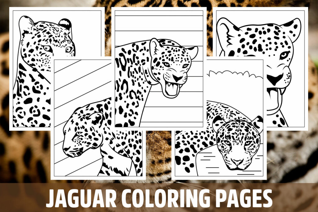 Jaguar Coloring Pages for Kids, Girls, Boys, Teens Birthday School ...