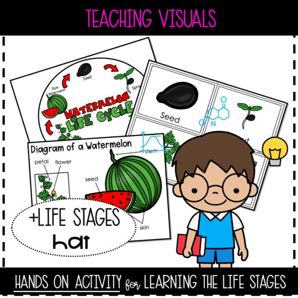 Send HOME Science WATERMELON Life Cycle l All about Watermelons | Made ...