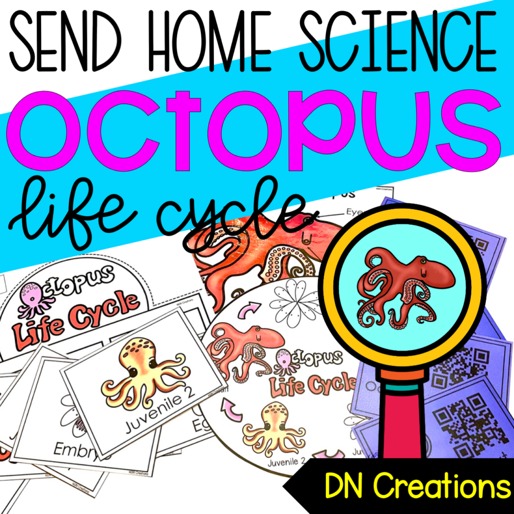 Send HOME Science Octopus Life Cycle l All about Octopus l Ocean Animal ...