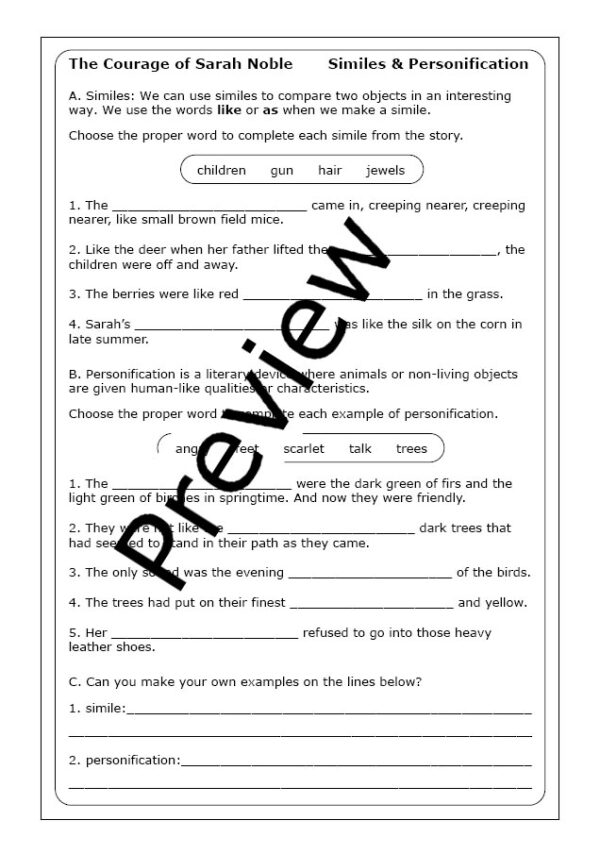 Alice Dalgliesh "The Courage of Sarah Noble" worksheets | Made By Teachers