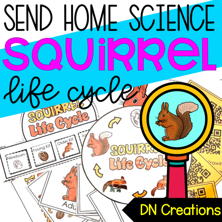 Send HOME Science Squirrel Life Cycle l All about Squirrels l Fall ...