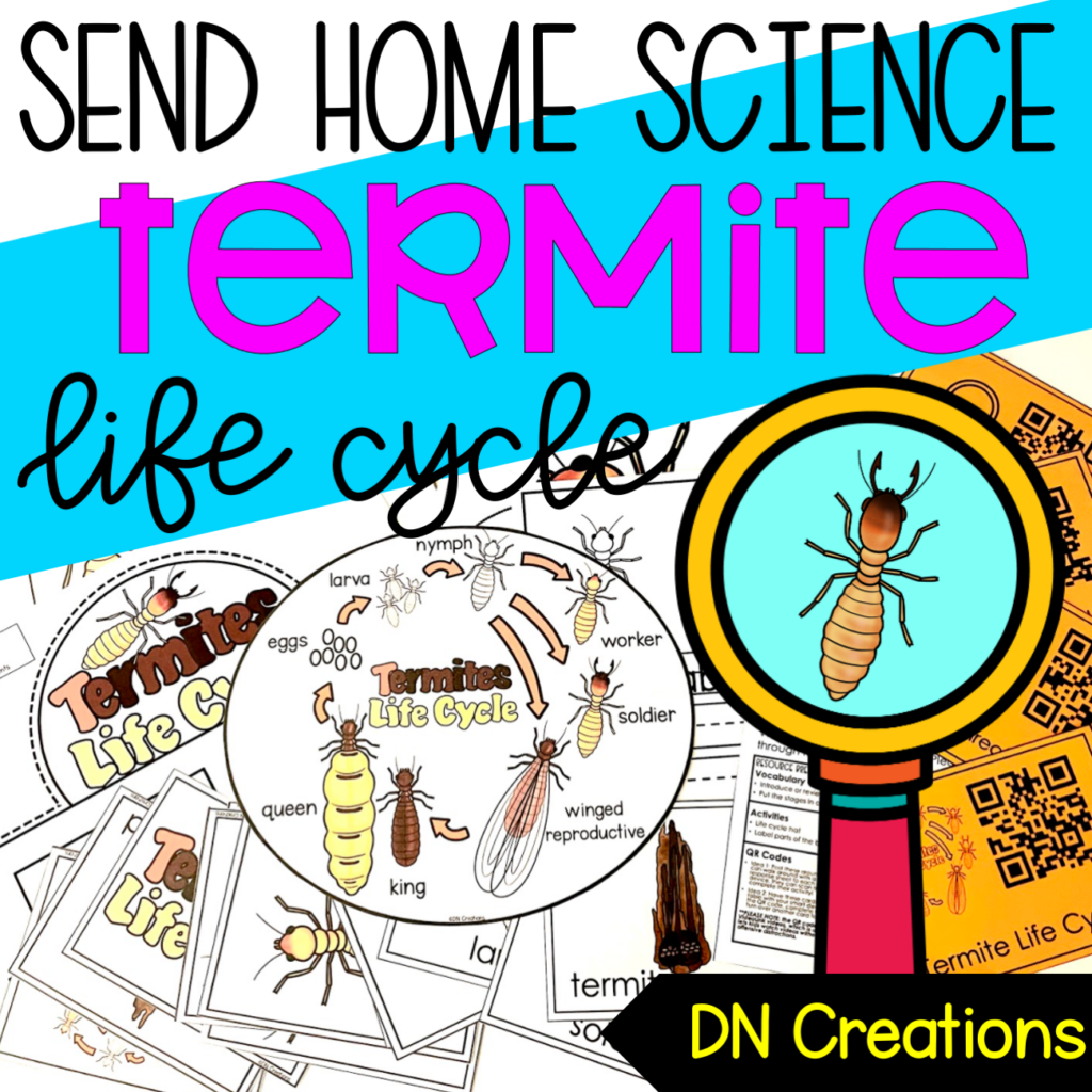 Send HOME Science Termites Life Cycle l All about Termites l Insect ...