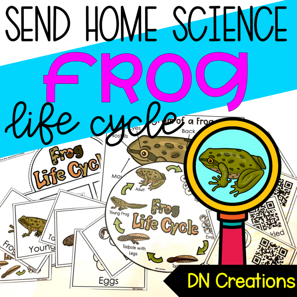 Send HOME Science Frog Life Cycle l All about Frogs l Frog Activities ...