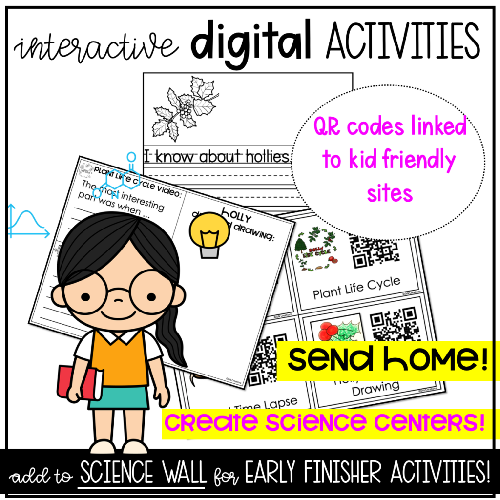 Send HOME Science Holly Life Cycle l All about Holly Plants l Plant ...