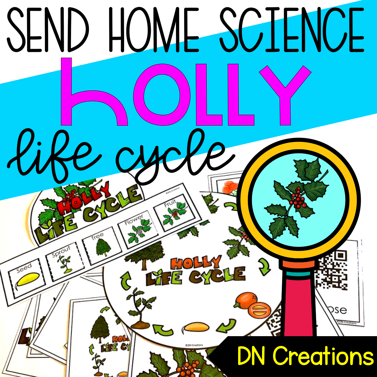Send HOME Science Spruce Tree Life Cycle | Christmas Tree Lifecycle ...