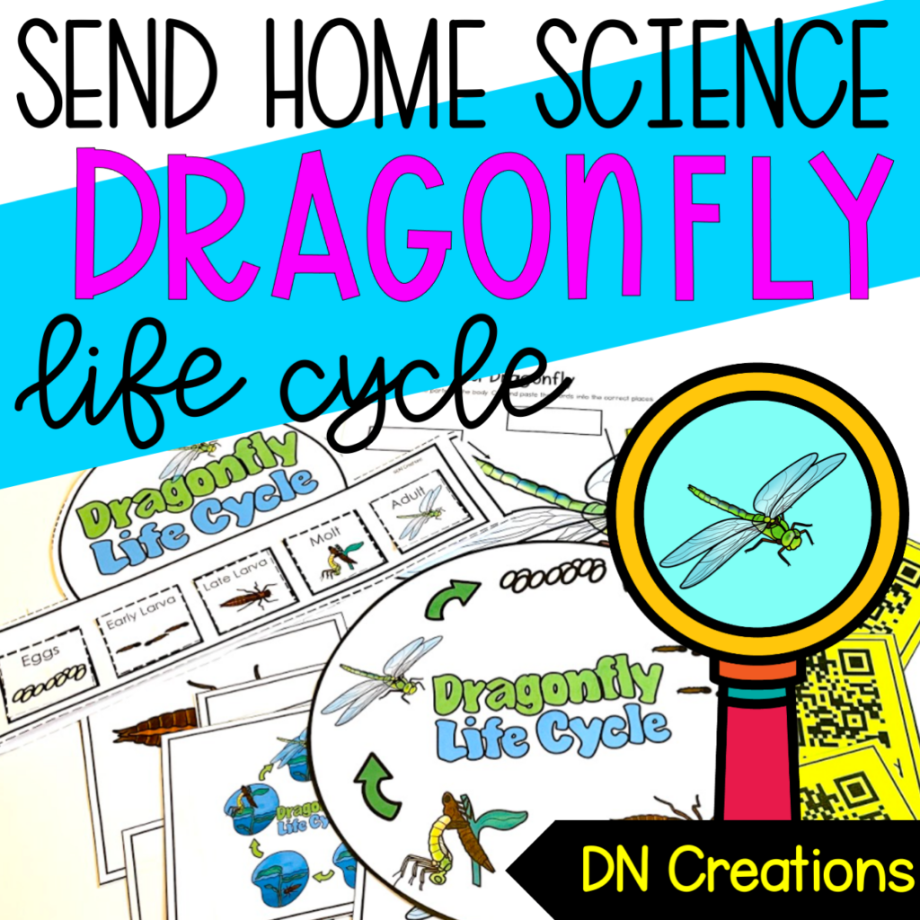 Send HOME Science Dragonfly Life Cycle l Dragonfly Unit l Insect ...