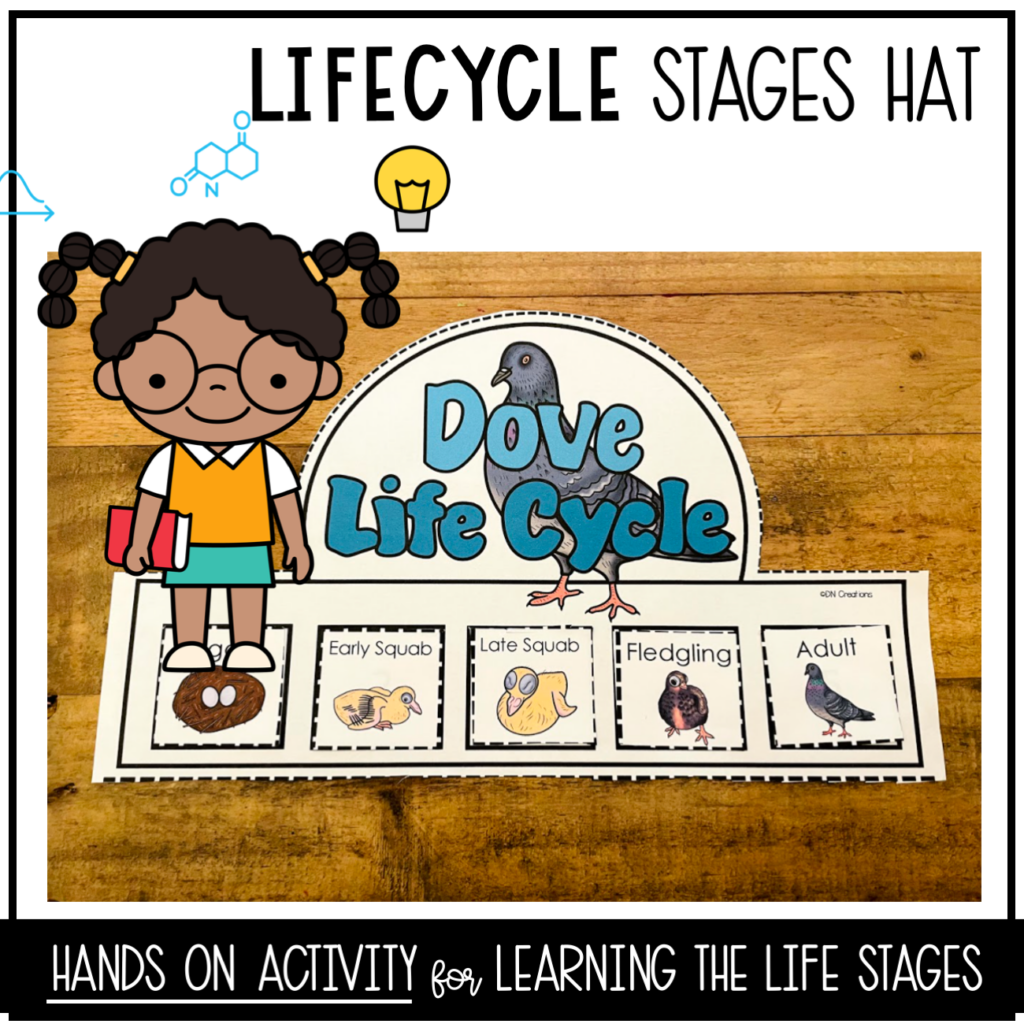 Send HOME Science Dove Life Cycle l All about Birds l Bird Science Unit ...