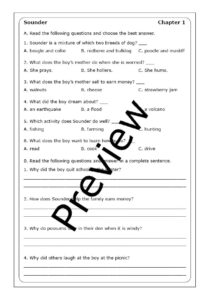 William H. Armstrong "Sounder" worksheets | Made By Teachers