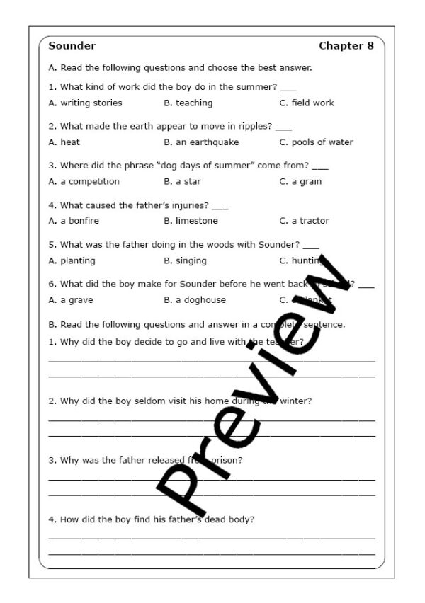 William H. Armstrong "Sounder" worksheets | Made By Teachers