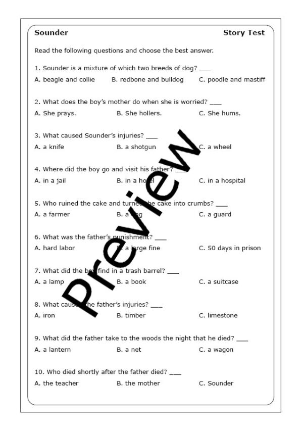 William H. Armstrong "Sounder" worksheets | Made By Teachers