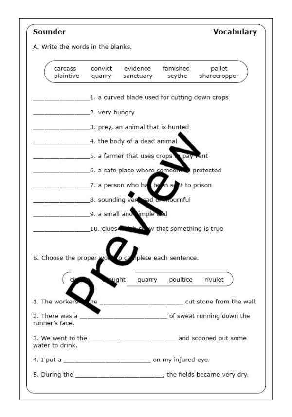 William H. Armstrong "Sounder" worksheets | Made By Teachers