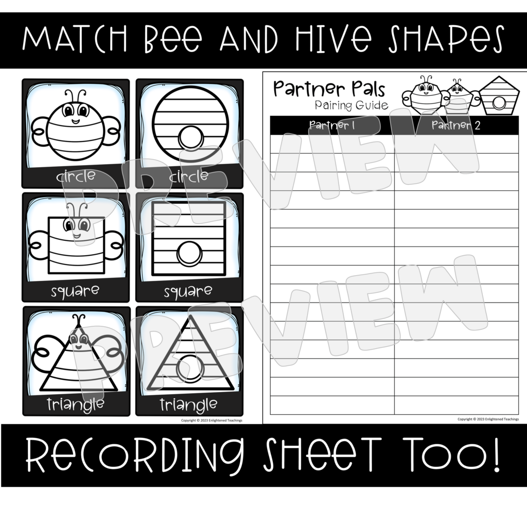 Student Pairing Cards | Partner Cards - Bee and beehive 2D Shape Match ...