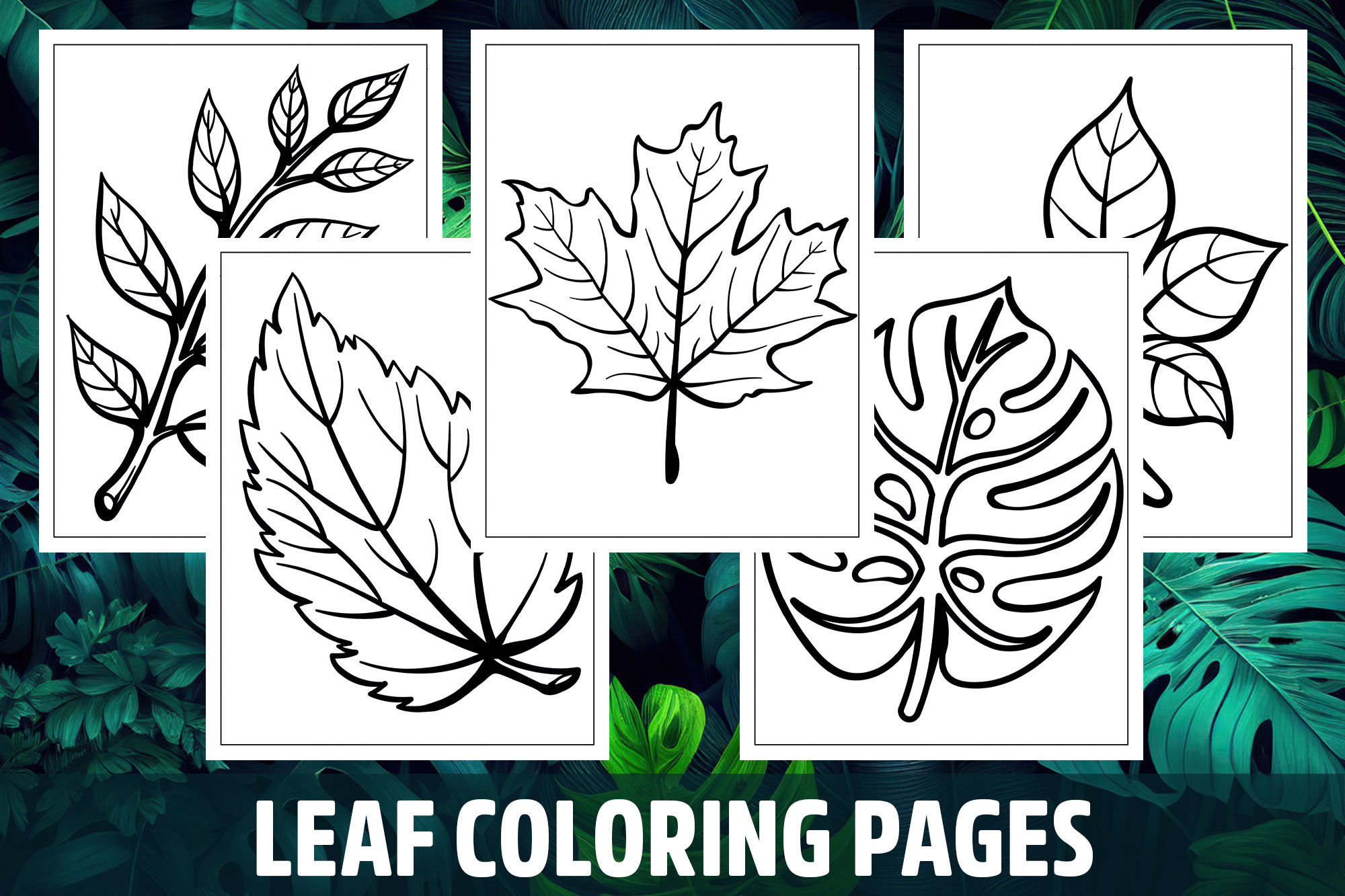 Leaf Coloring Pages for Kids, Girls, Boys, Teens Birthday School ...