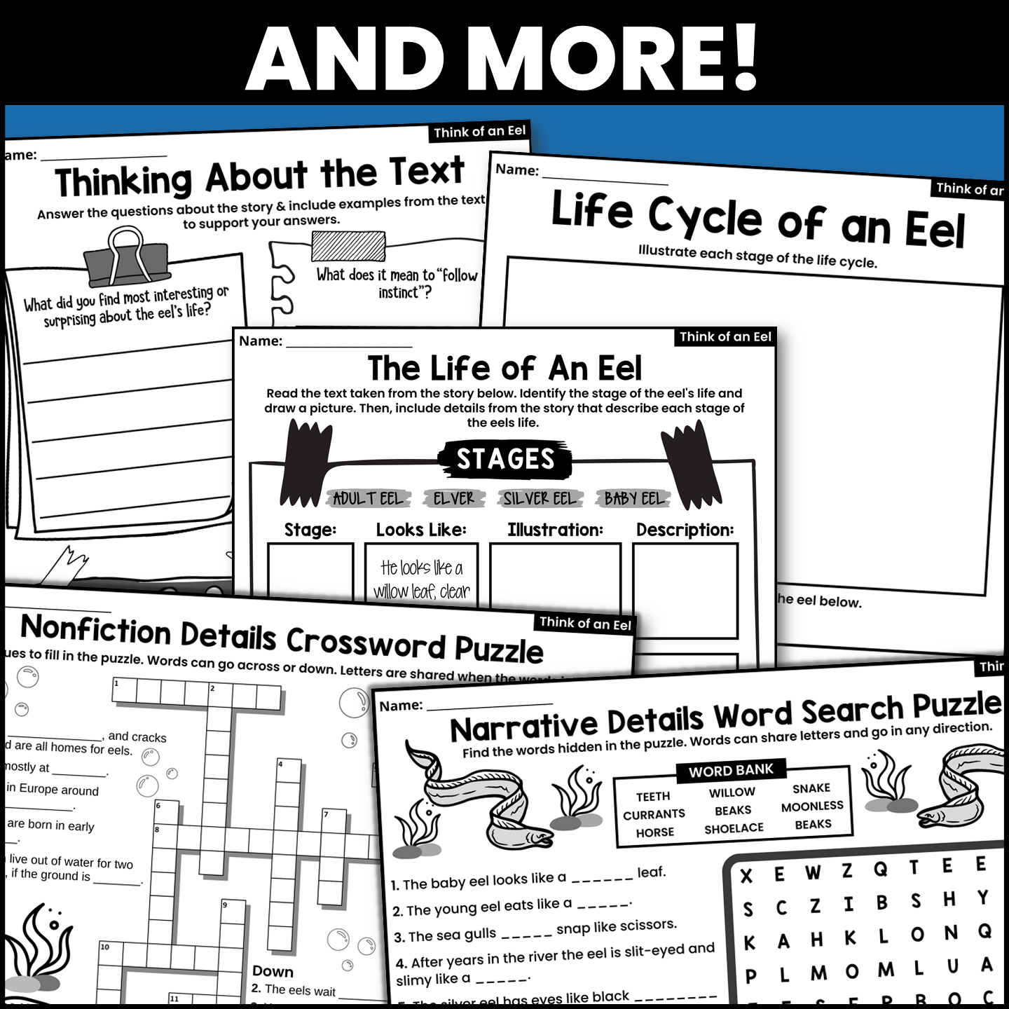 Think of an Eel Read Aloud Book Companion Activities for IRA | Made By ...
