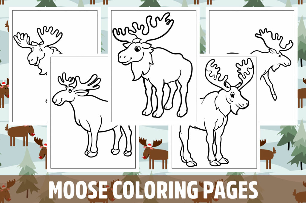 Moose Coloring Pages for Kids, Girls, Boys, Teens Birthday School ...