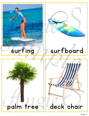 Summer Bingo Game and Vocabulary Cards with Real Pictures | Made By ...