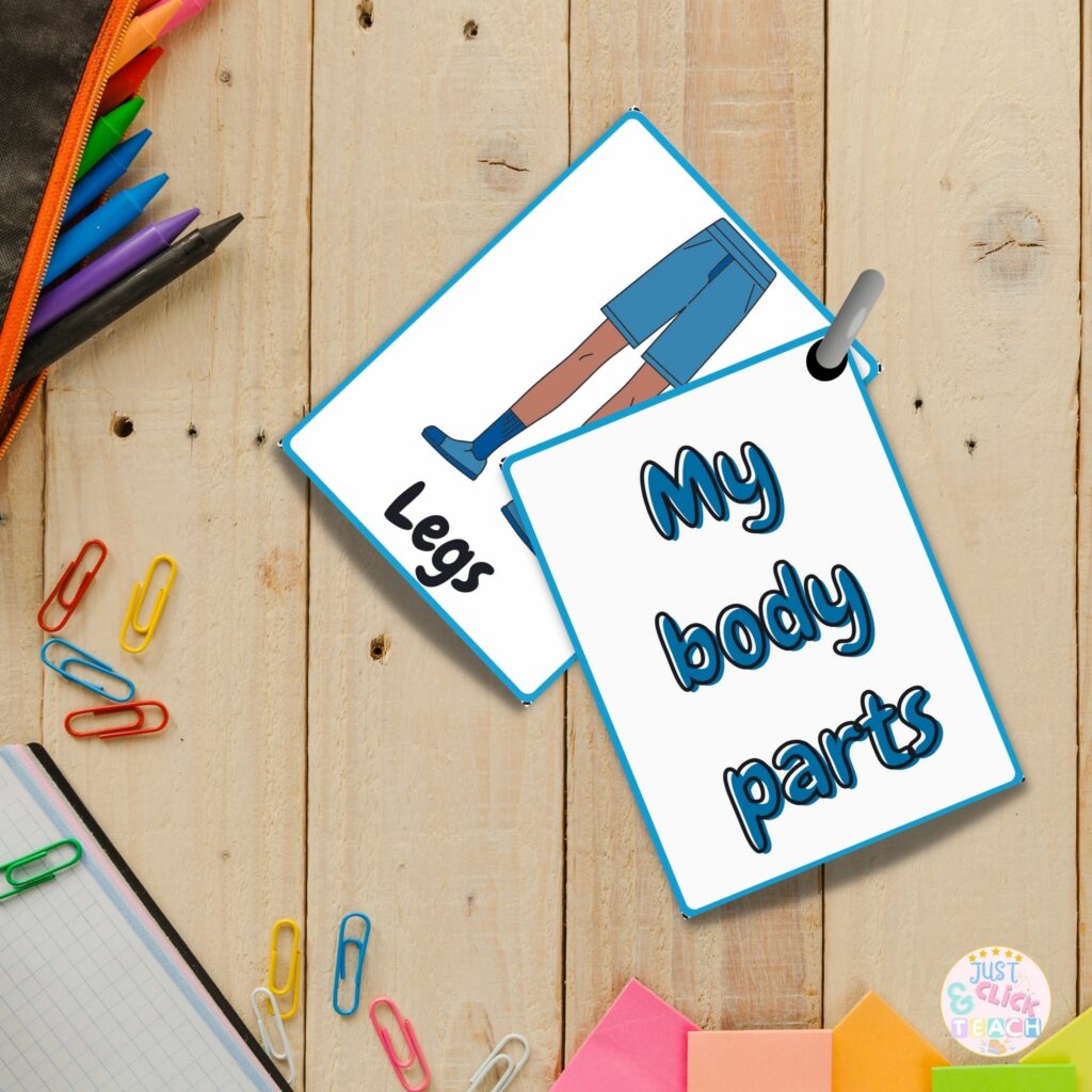 Free Nomenclature body parts cards| Body parts flashcards| human ...