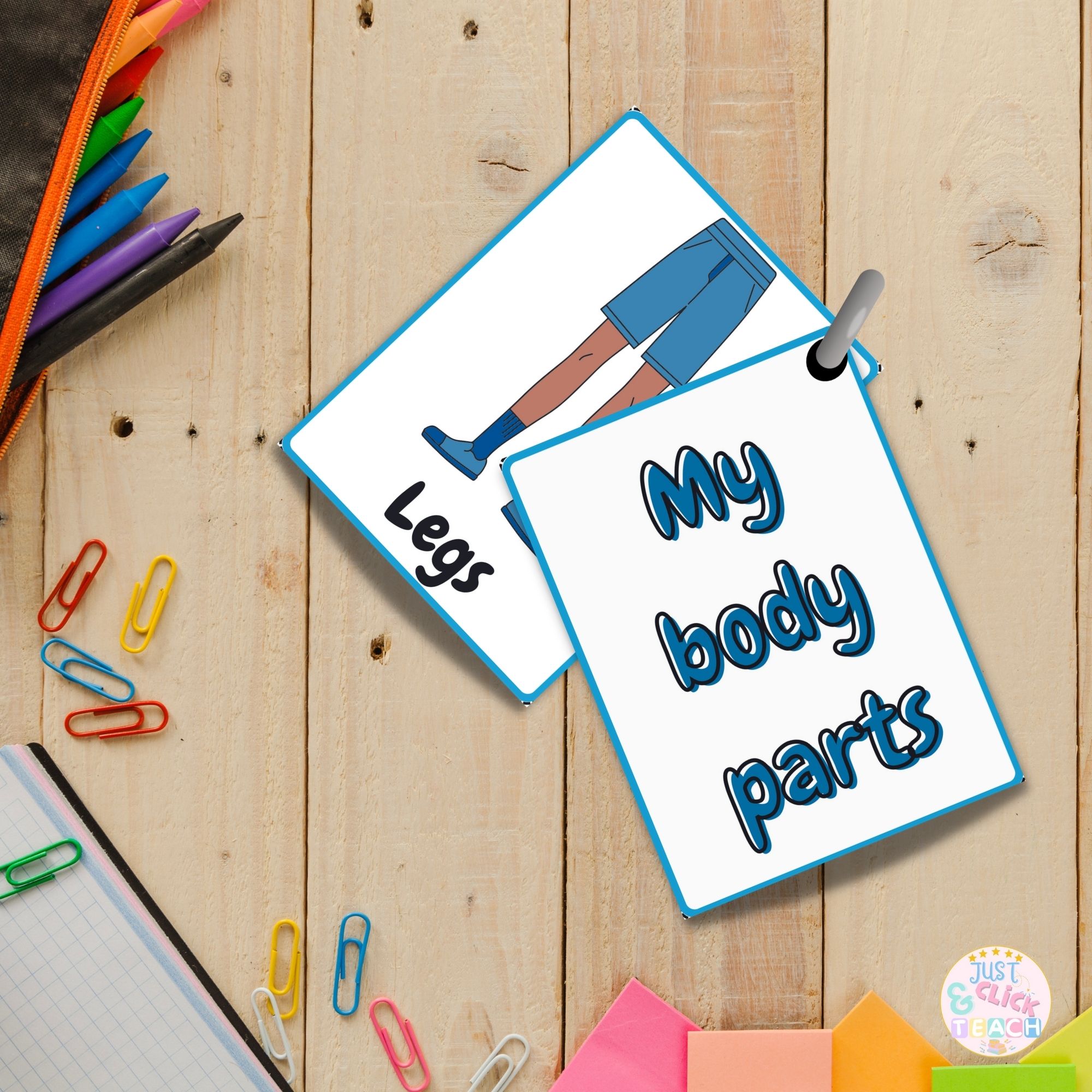 Free Nomenclature body parts cards| Body parts flashcards| human ...