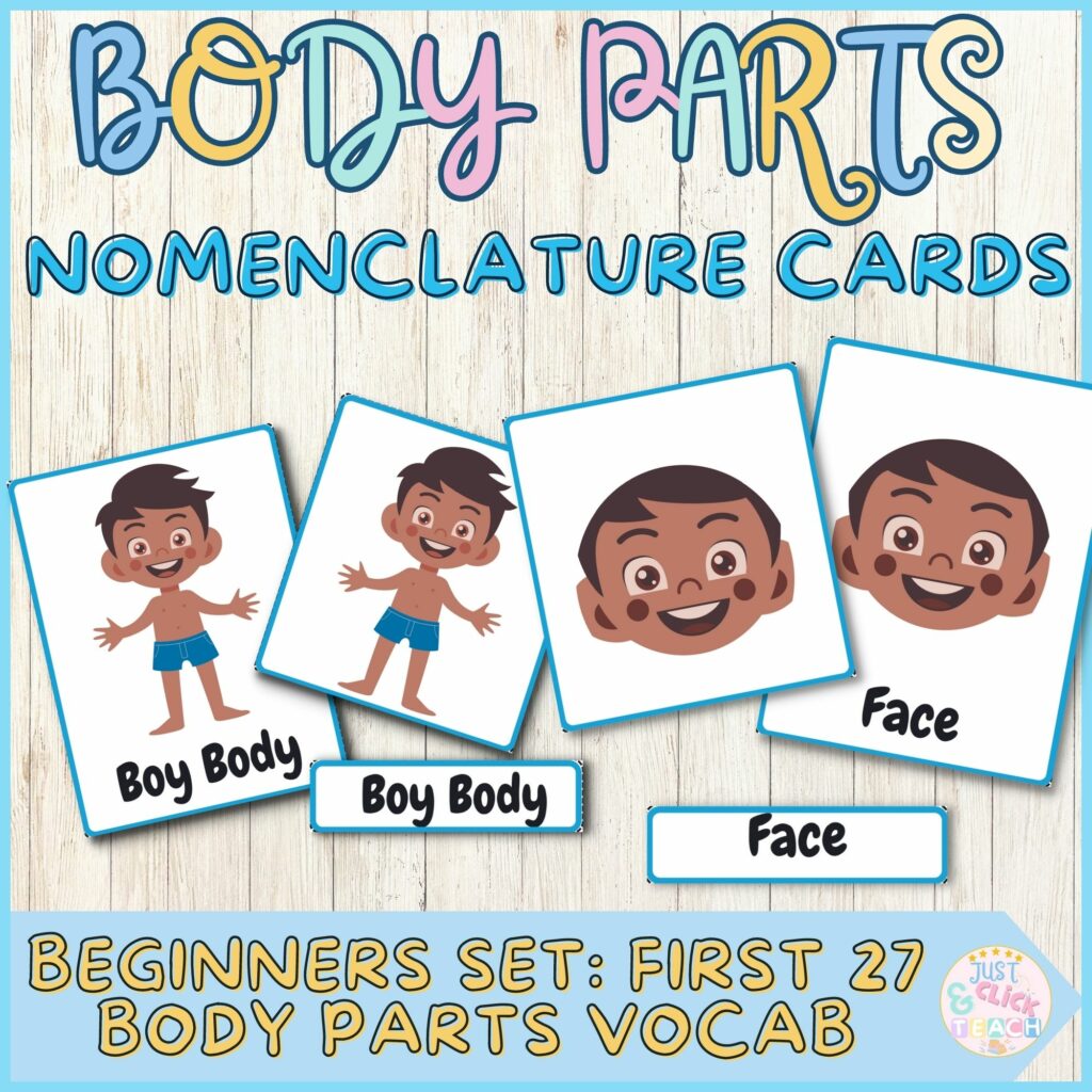 Beginner Nomenclature body parts cards 1 | Body parts flashcards| human ...